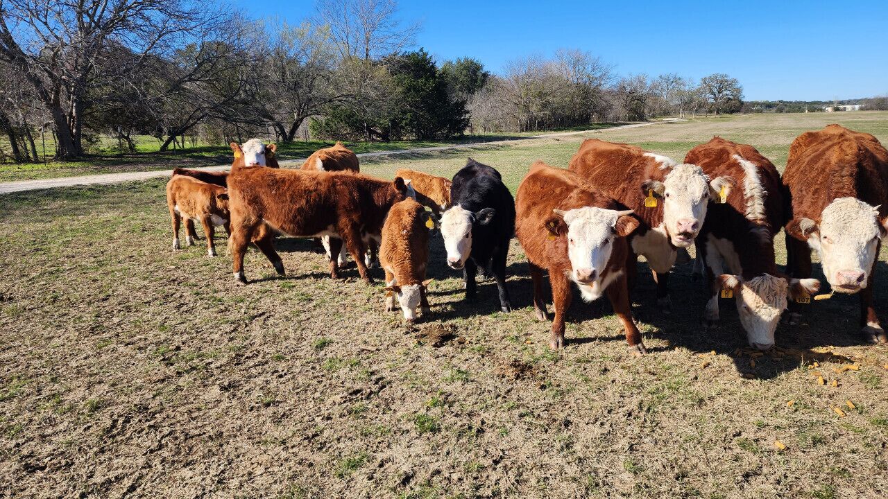 2023 Built - Contemporary Waterfront Ranch Villa at Twin Canyons ...