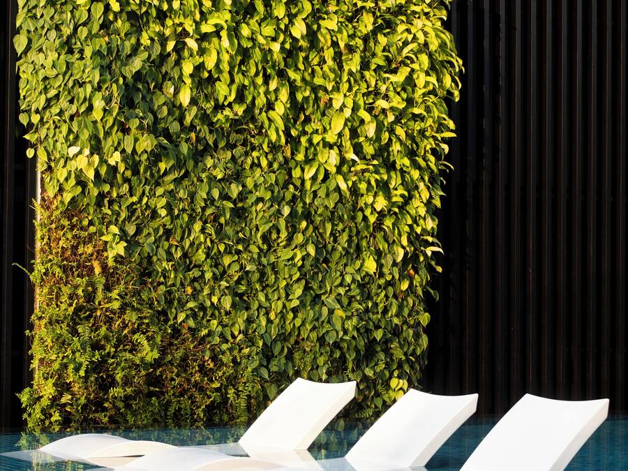 Piscina exterior