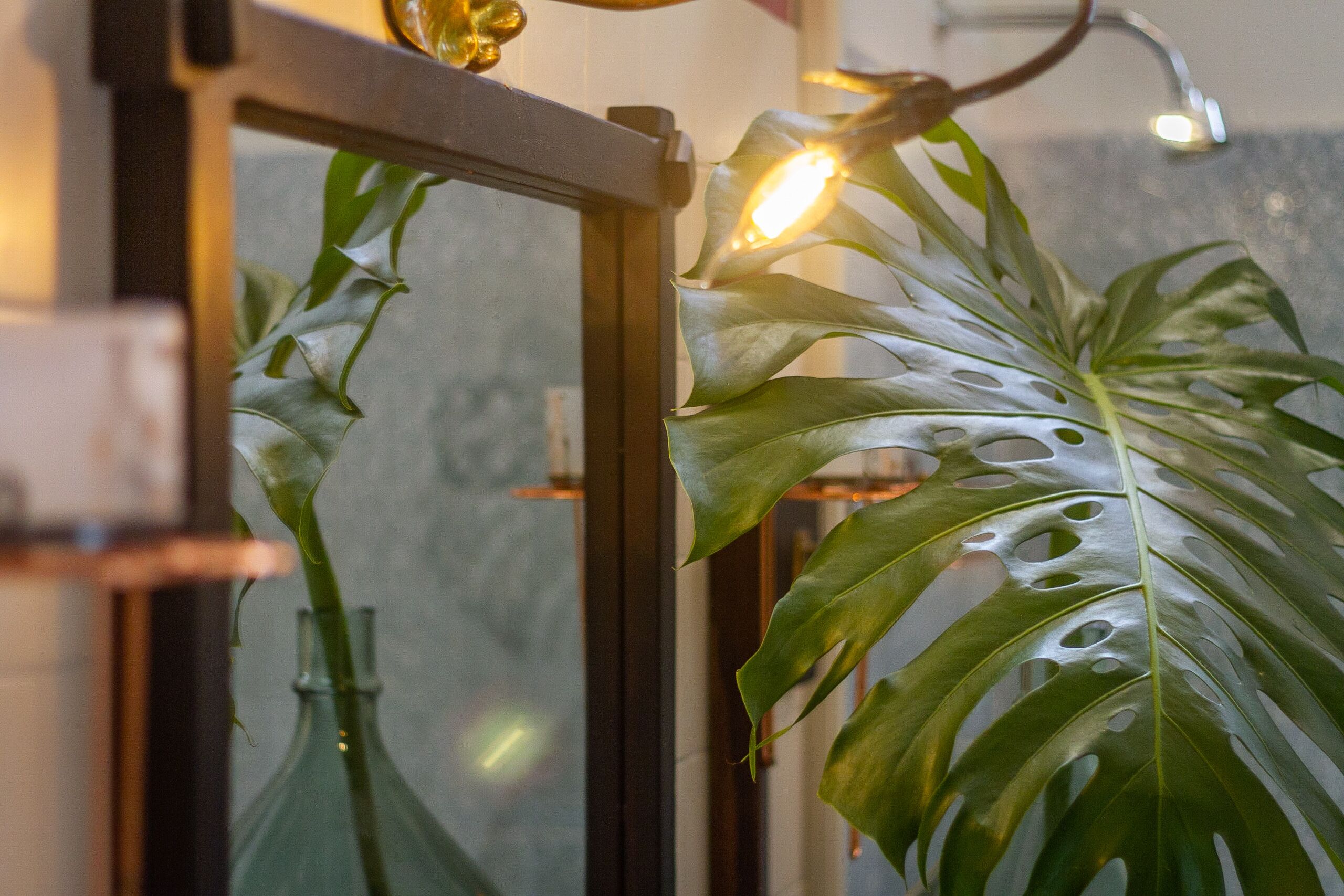 Quarto com uma janela grande, uma planta verde e um lustre.