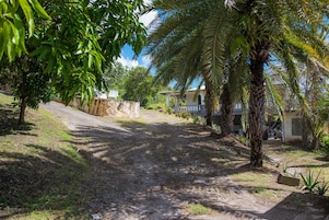 Um caminho pavimentado leva a uma casa com varanda, cercada por palmeiras e vegetação.