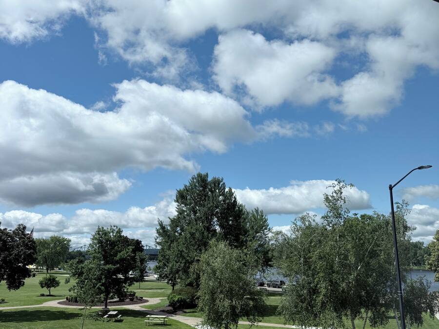 Um parque com árvores, um banco e céu limpo.