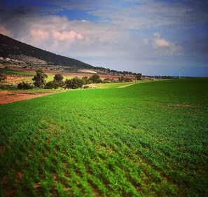 Vista para o campo desde o alojamento