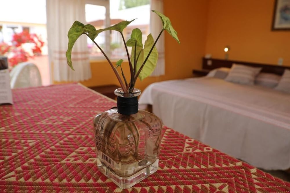 Hotel Belisana - Guerrero