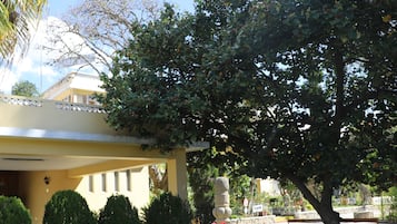 Jardim