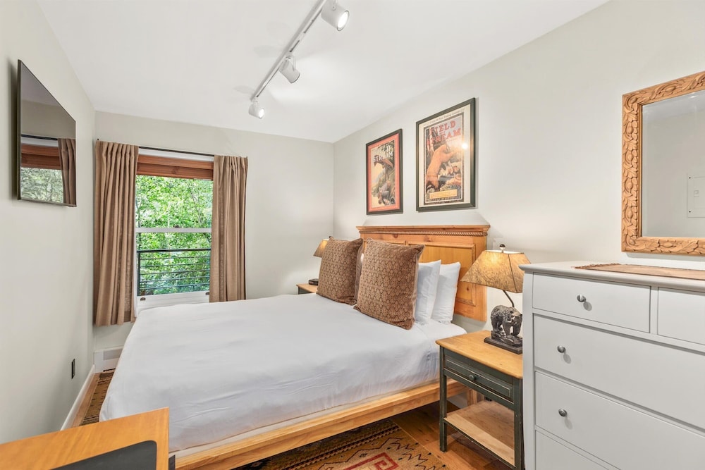 Durant Unit A101 | Centrally Located, Sunny Condo With Great Views & Fireplace - 애스펀