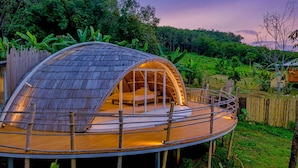 Uma estrutura em forma de cúpula com um deck de madeira e uma cama por dentro, cercada por vegetação exuberante.