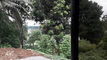 Terrenos do alojamento