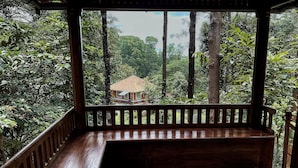 Um banco de madeira com vista para uma casa cercada por folhagem densa.