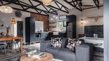 Suite Executiva | Sala de estar | Lareira