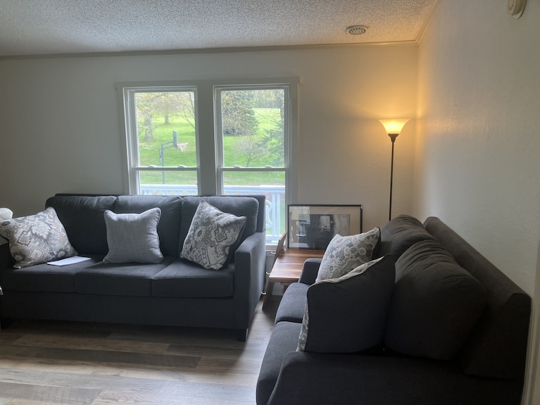 Robin's Nest: Newly Renovated Home Located On 60 Acres Of Fields & Forest. - Stony Brook State Park, Dansville