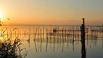 Um lago calmo ao pôr do sol, com juncos e um poste de madeira em primeiro plano.
