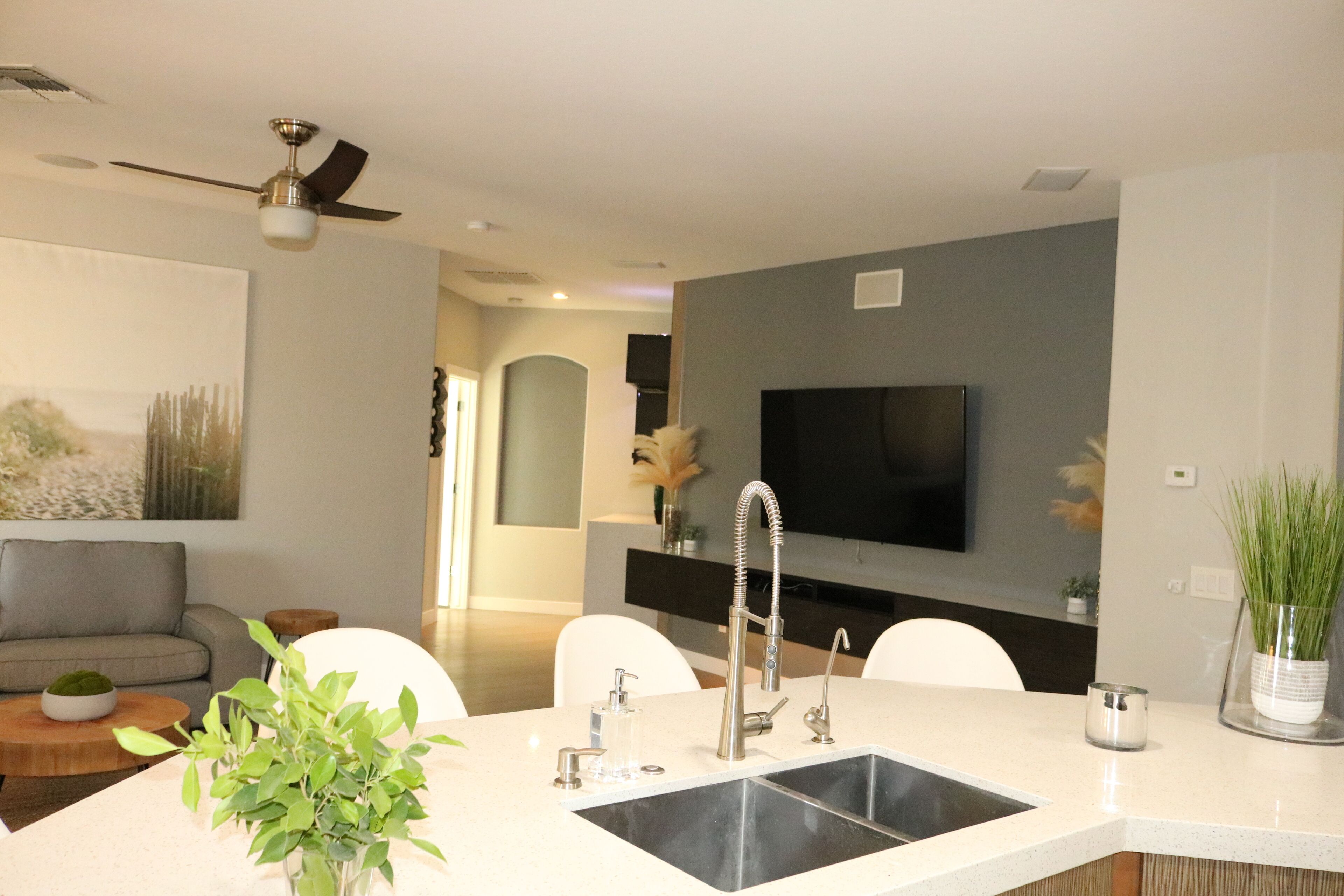 Newly- Remodeled Modern Home. - Avondale, AZ