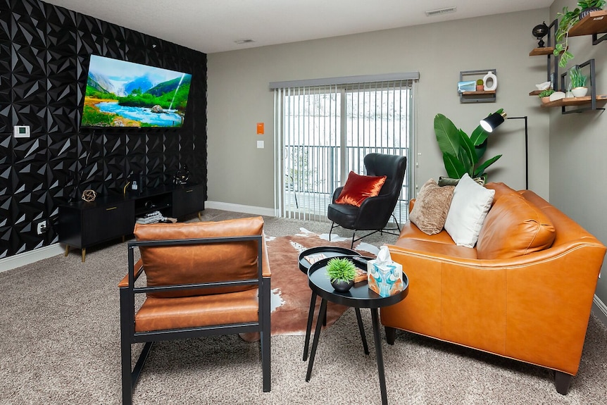 The Carmel/bold/massage /Chair Spacious / 3d Wall / Pool / Gym / Tanning Bed - Walnut Woods State Park, West Des Moines