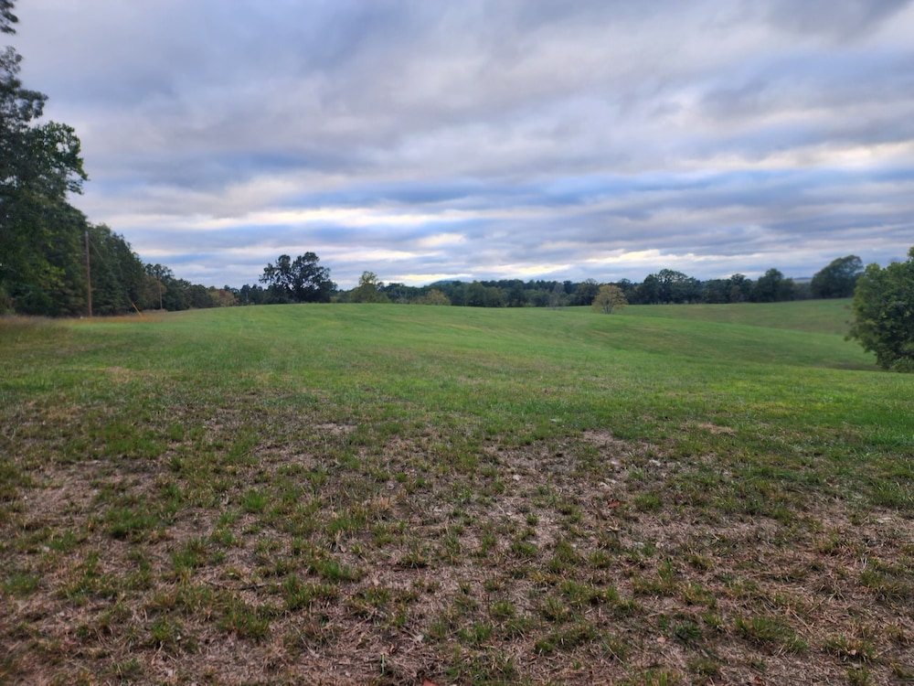 Open Field For Camping And Star Gazing. No Amenities Or Services Are Provided. - 아칸소