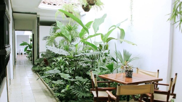 Um corredor estreito com uma mesa e cadeiras de madeira, cercado por plantas verdes exuberantes.