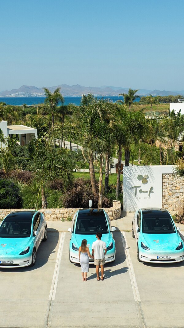 Taf Beach Villas With Tesla - Kos