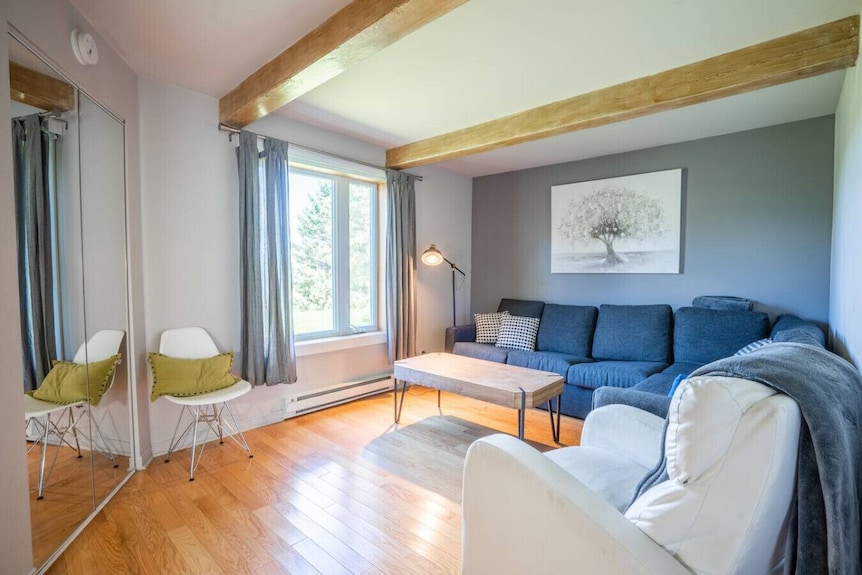 Rustic & Modern Chalet. 32 Acre Of Land. Avec Spa - Quebec