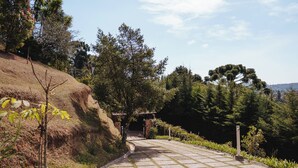 Uma trilha de pedra leva a uma construção tradicional, cercada por vegetação exuberante e árvores.