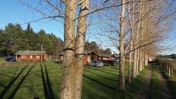 Fileira de cabanas com um caminho gramado que as leva, cercadas por árvores.