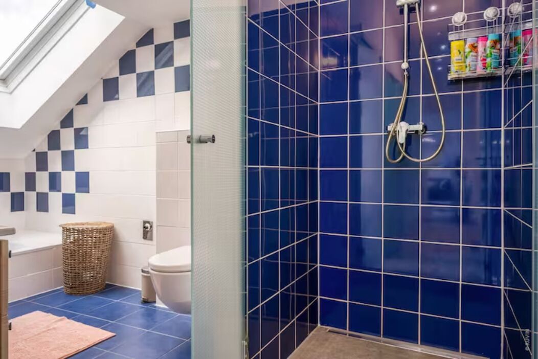 Casa de banho com claraboia, chuveiro com porta de vidro, sanita e cesto.