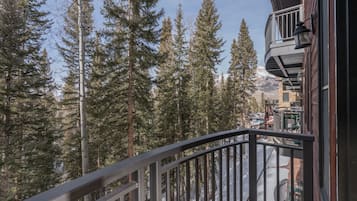 Condo, 1 quarto | Área da propriedade