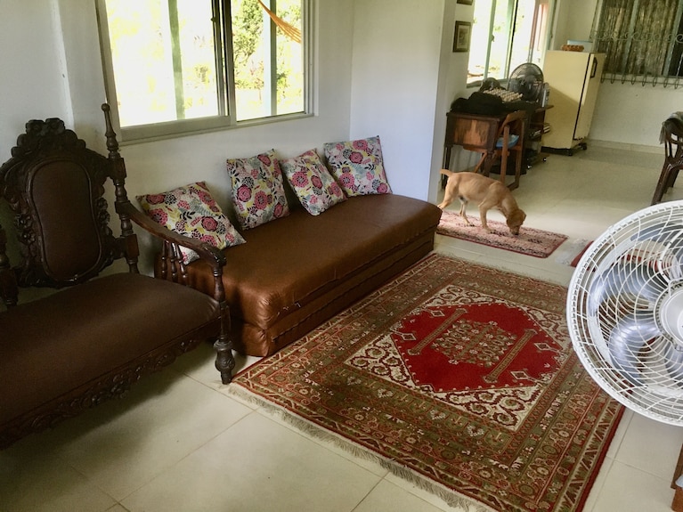 Linda Casa De Campo , Aire Fresco, Aves, Rios,cascadas , Apta Para Mascotas - Villeta