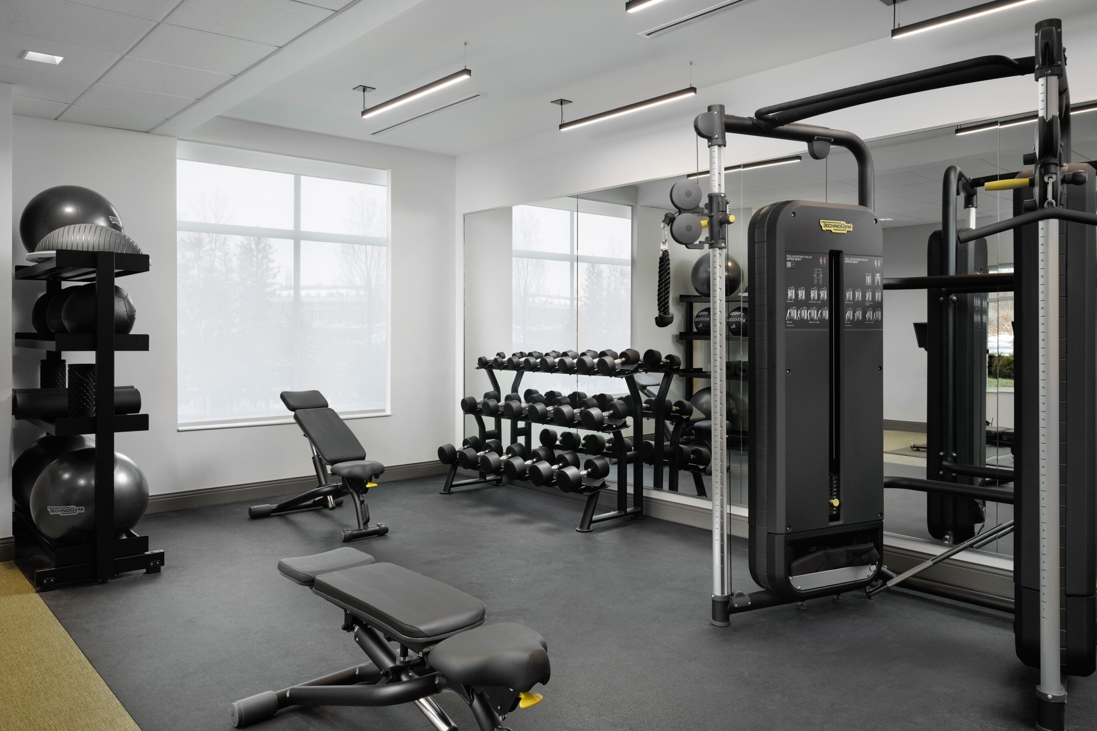 Uma academia com equipamentos de exercício, halteres e um banco.