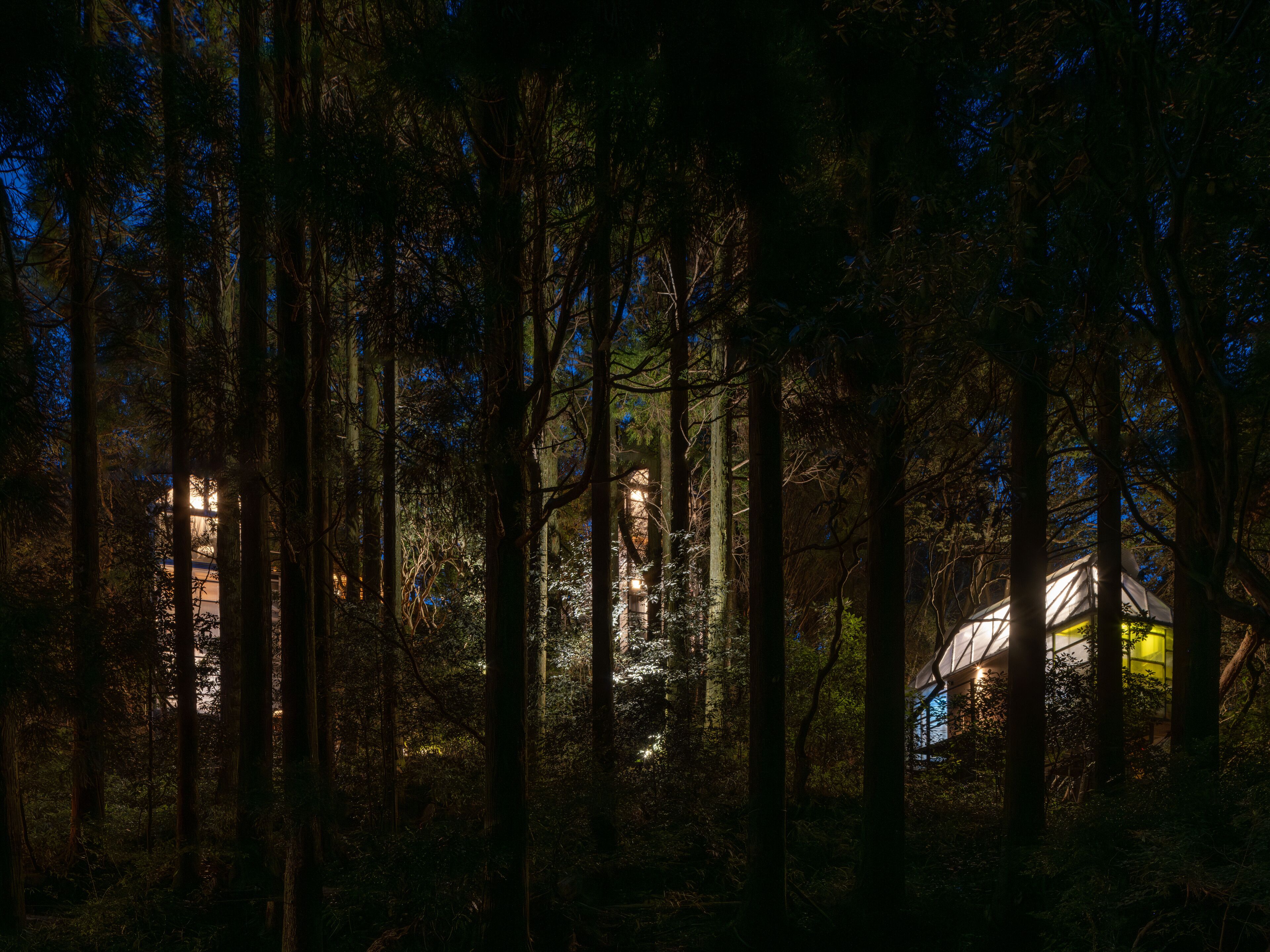 Uma área arborizada com uma construção cercada por árvores altas.