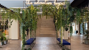 Uma escadaria com um letreiro de neon que diz “a aventura começa” acima, cercada por vegetação e áreas de estar azuis.