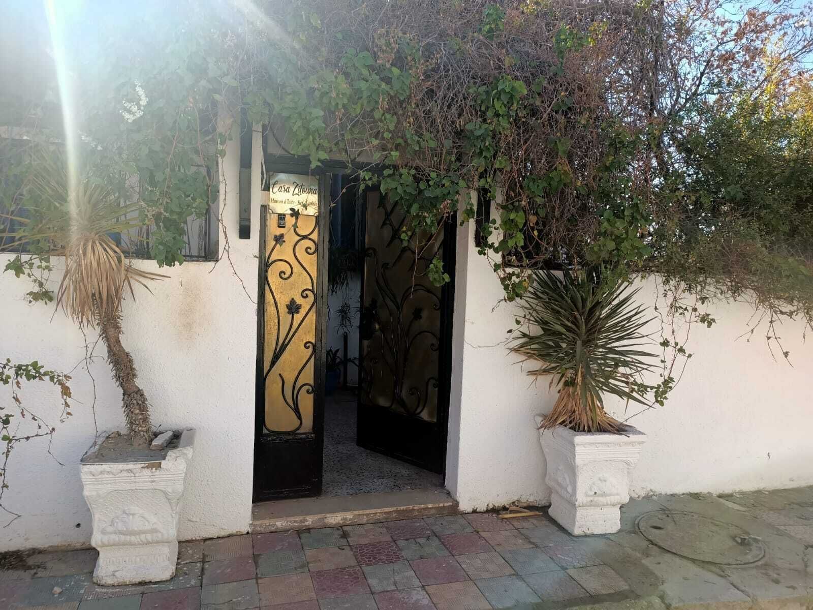 Uma entrada fechada com portão de ferro decorativo, plantas em vasos e uma parede branca.