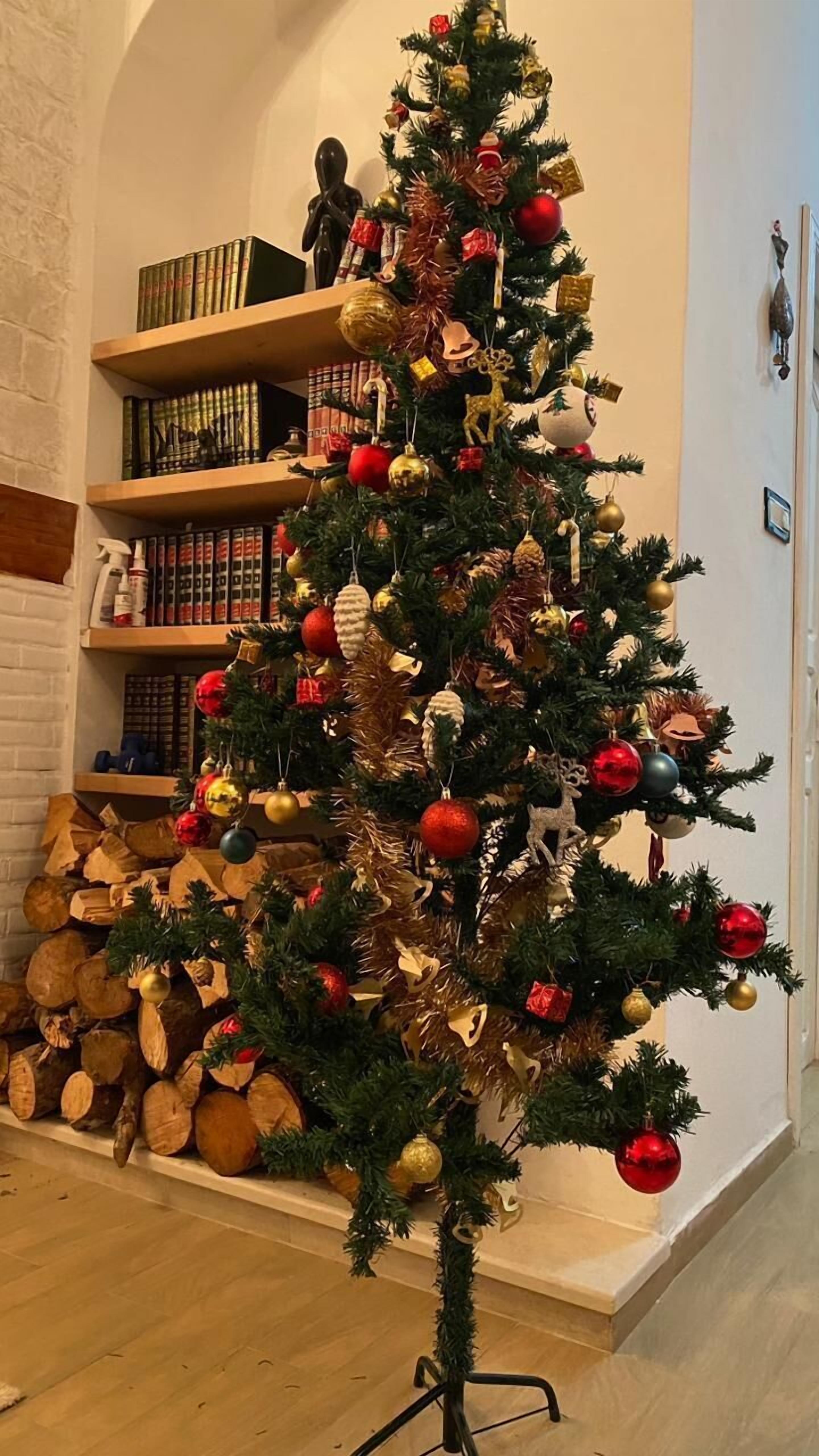 Árvore de Natal com enfeites e uma estante ao fundo.