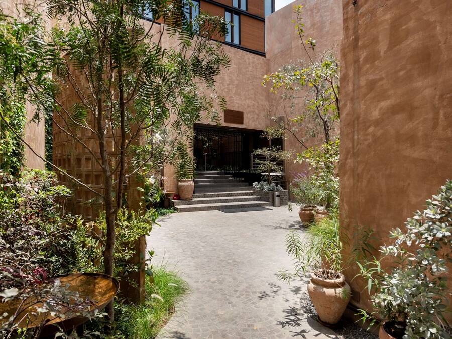 Pátio com caminho central, rodeado por plantas em vasos e árvores, que leva à entrada de um edifício.