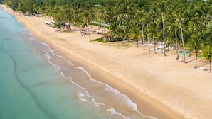 Vista aérea de uma praia com águas turquesa cristalinas, areal arenoso e fileiras de palmeiras.
