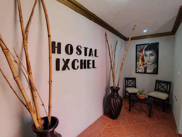 Hostal Ixchel - Hostel - Yucatán