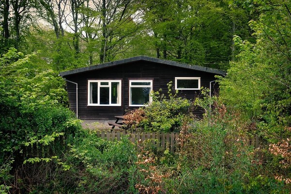 Baillie Chalet On Reelig Estate - Loch Ness