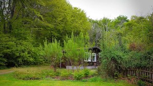 Uma cabana de madeira cercada por vegetação densa e uma cerca de madeira.