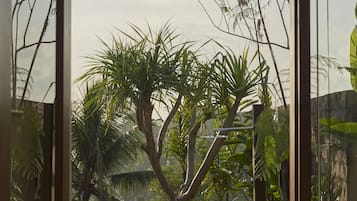 Vista da propriedade