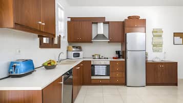 Vila, 2 quartos, vista para a montanha | Cozinha privada | Cafeteira/chaleira, chaleira elétrica