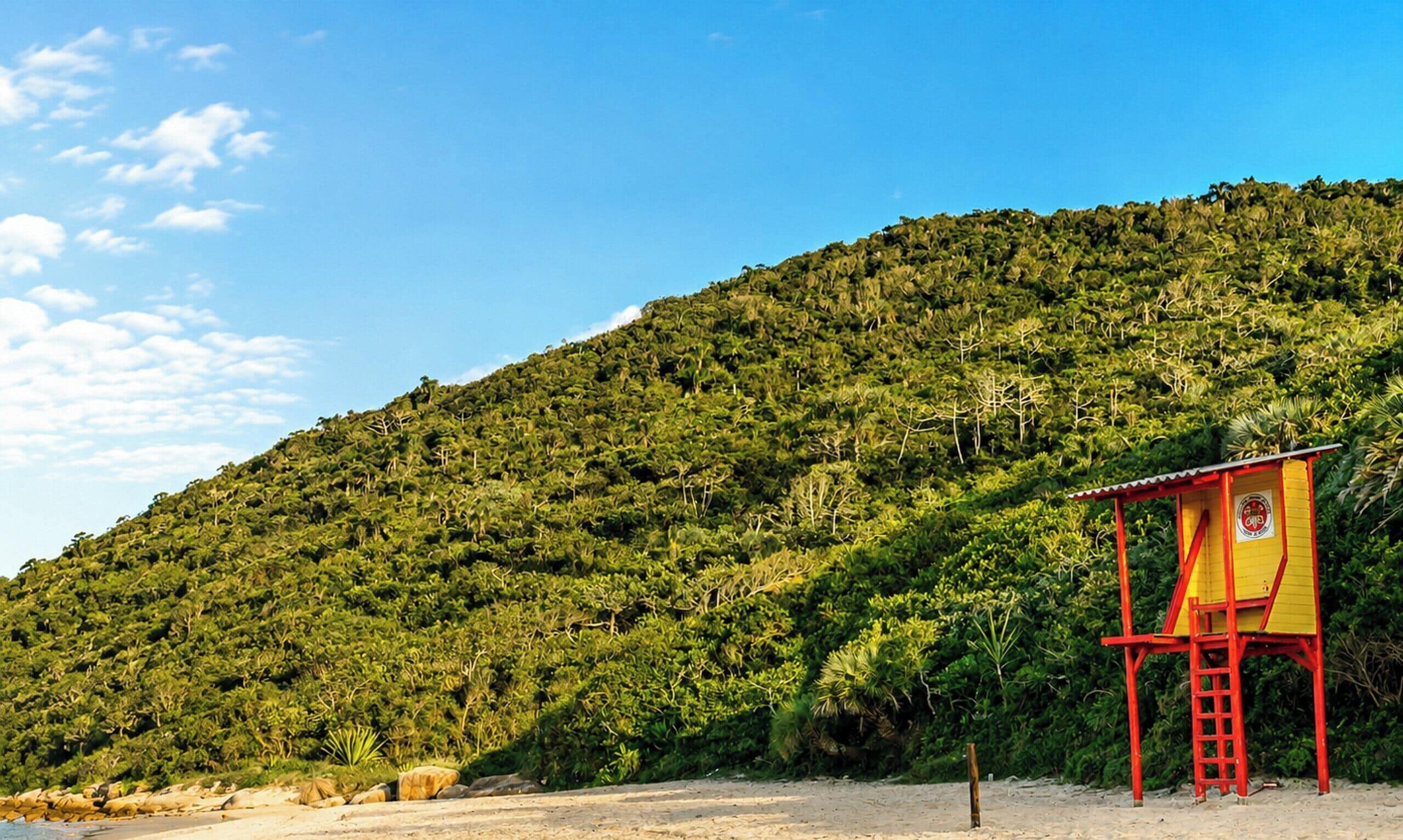 Uma praia com uma torre de salva-vidas e uma colina coberta por vegetação densa ao fundo.