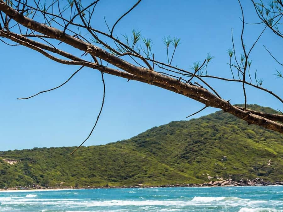 Perto da praia, praia de areia branca