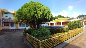 Um edifício com fachada amarela, uma grande árvore em frente e um jardim cercado.