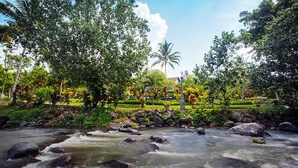 Um rio serpenteando por um jardim exuberante, com pedras e árvores.