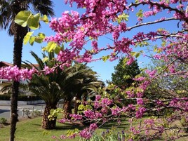Terrenos do alojamento
