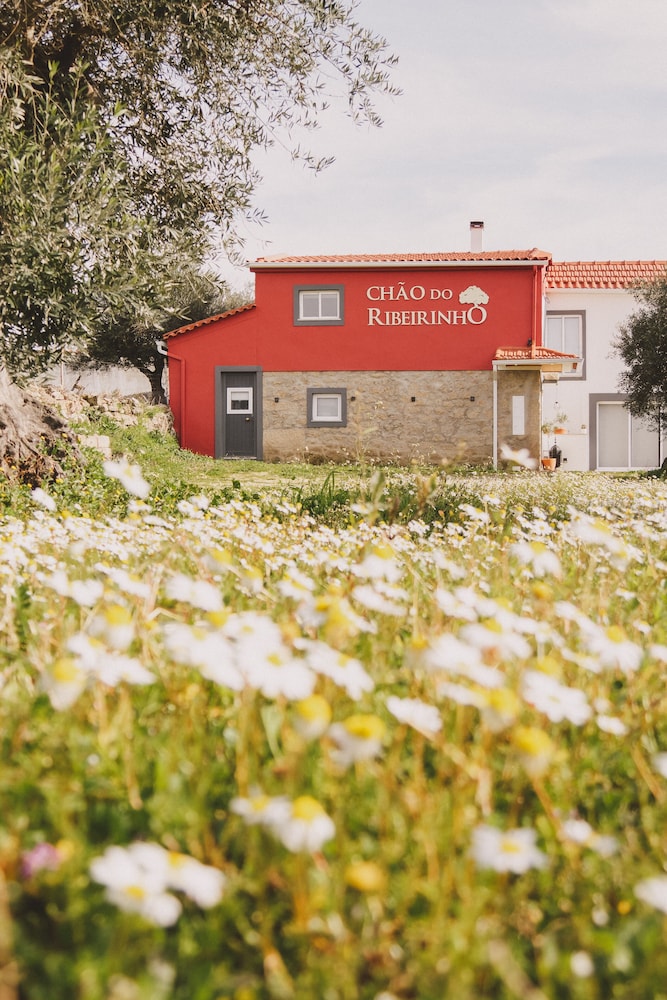 Chão Do Ribeirinho - Fundão