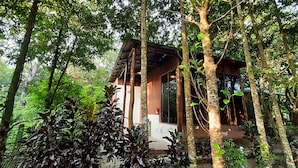 Uma pequena cabana de madeira cercada por vegetação densa, com estrutura simples e sem janelas ou portas visíveis.