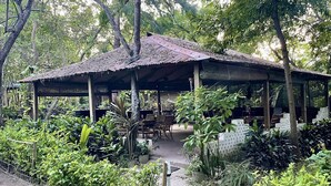 Um pavilhão rústico de madeira com telhado de palha, rodeado por vegetação exuberante e diversas plantas.