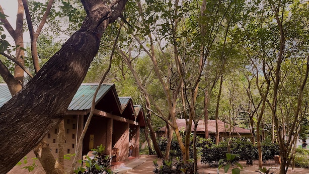 Uma pousada rústica com várias cabanas de madeira, rodeada por vegetação densa e um caminho de pedra.