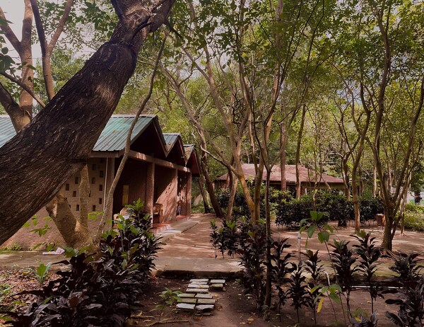 Dancing Dugong - Havelock island (Swaraj Dweep)
