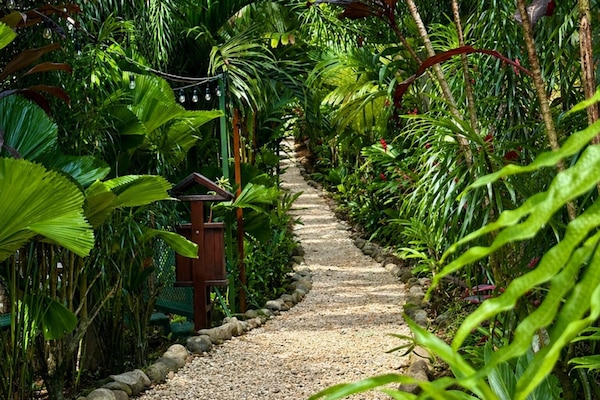 Caminhada