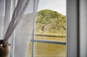 Vista pela janela de um vinhedo com campos em terraços e uma colina ao fundo.